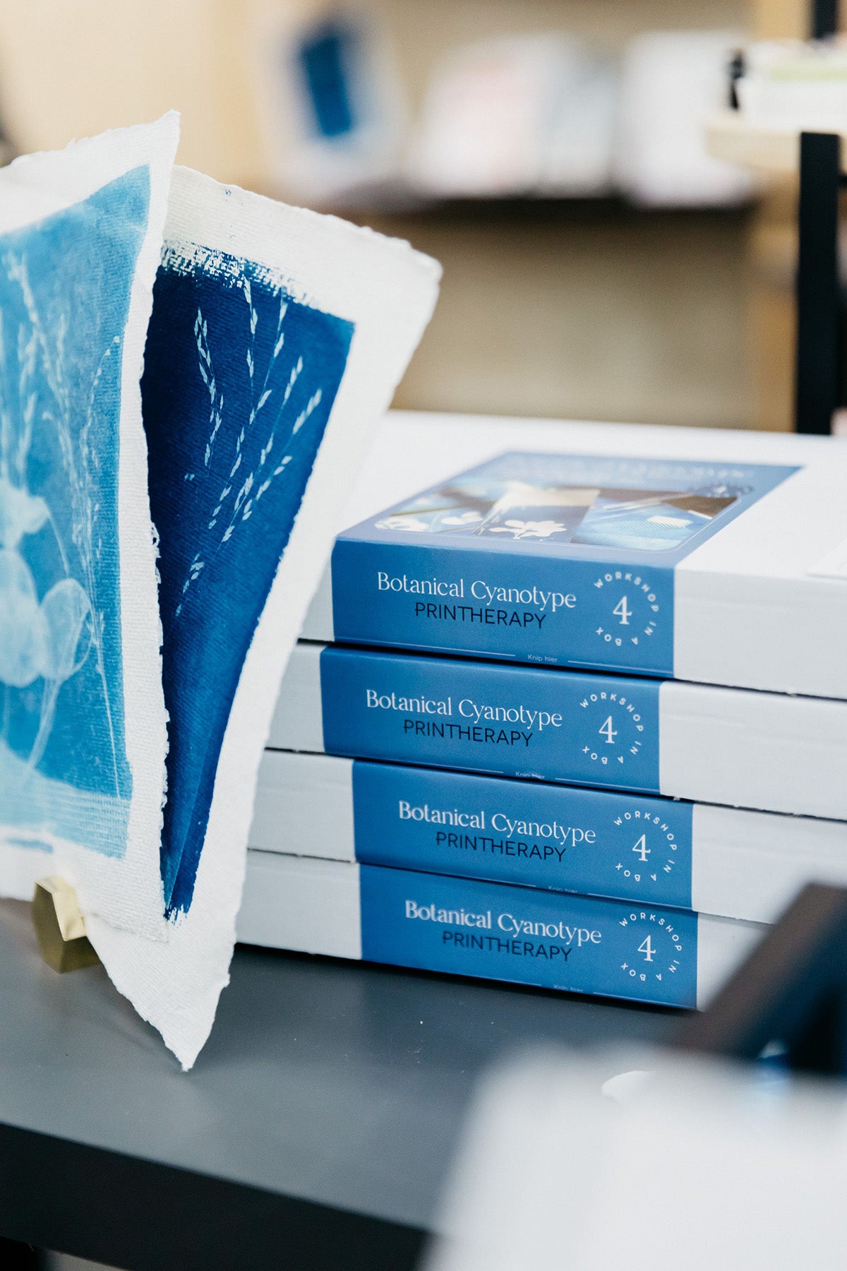 Box #4 Botanical Cyanotype – printherapy